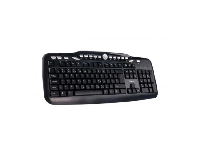 MS ALPHA C300 USB tastatura crna