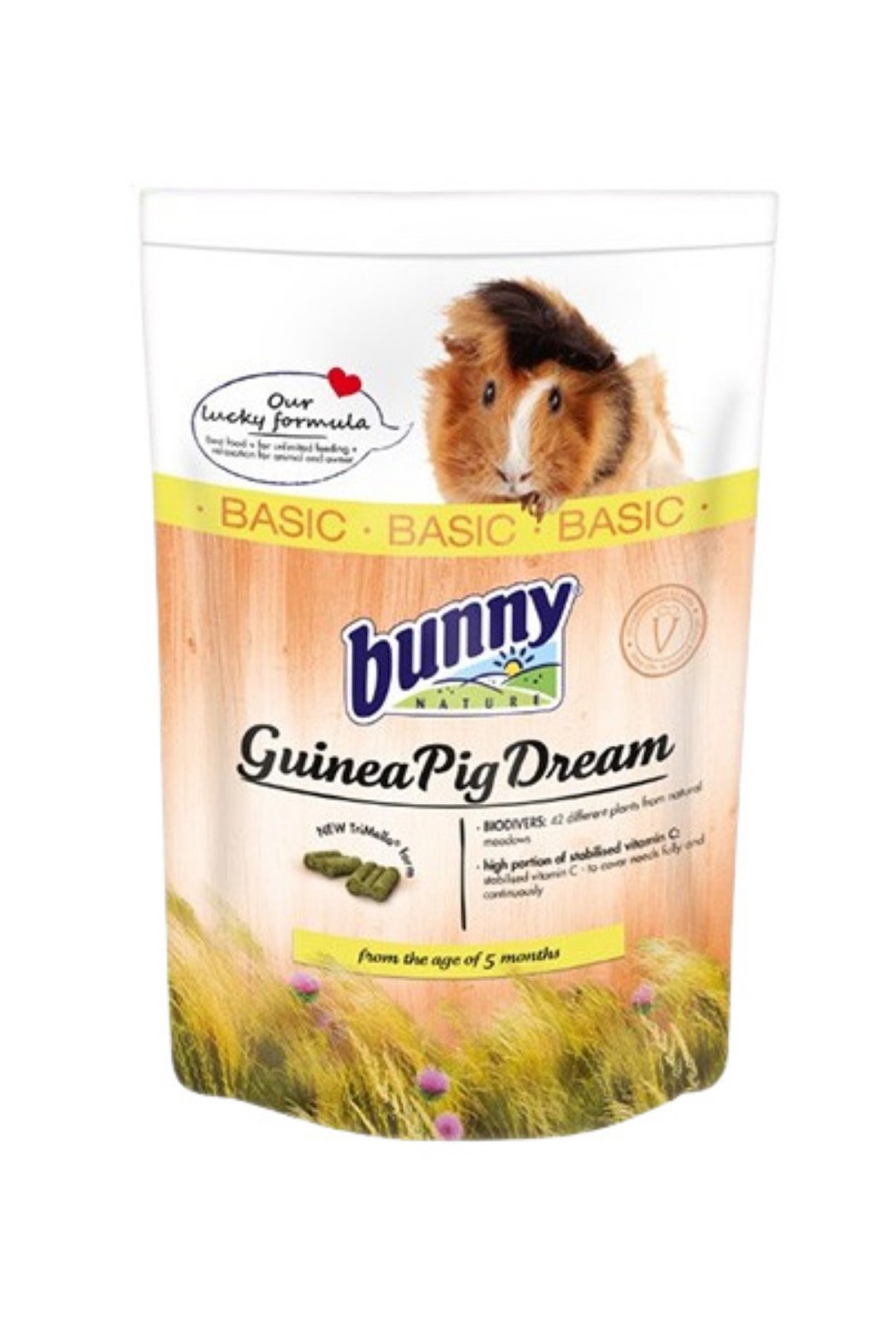 Guinea Pig Dream BASIC