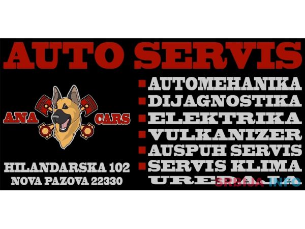 AUTO SERVIS ZA PUTNICKA I LAKA TERETNA VOZILA DO 3.5T