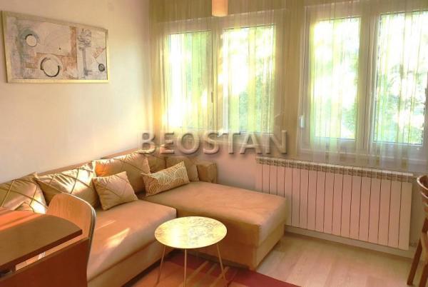 Cara Uroša, Dvosoban stan za izdavanje, 40m2, 750€