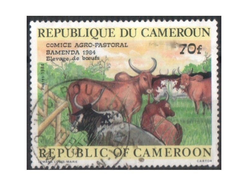 Kamerun