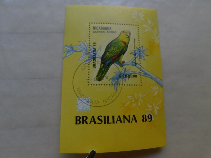 NICARAGUA 1989 BLOK