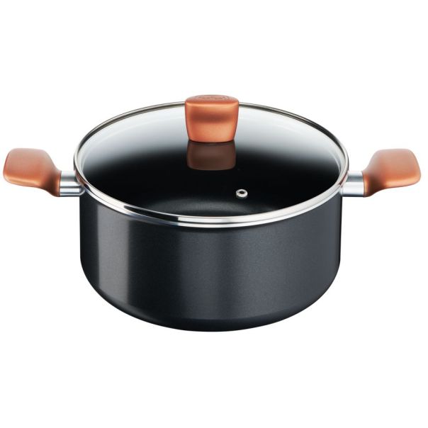 TEFAL Šerpa sa poklopcem 24cm B2554602 EXPRESS