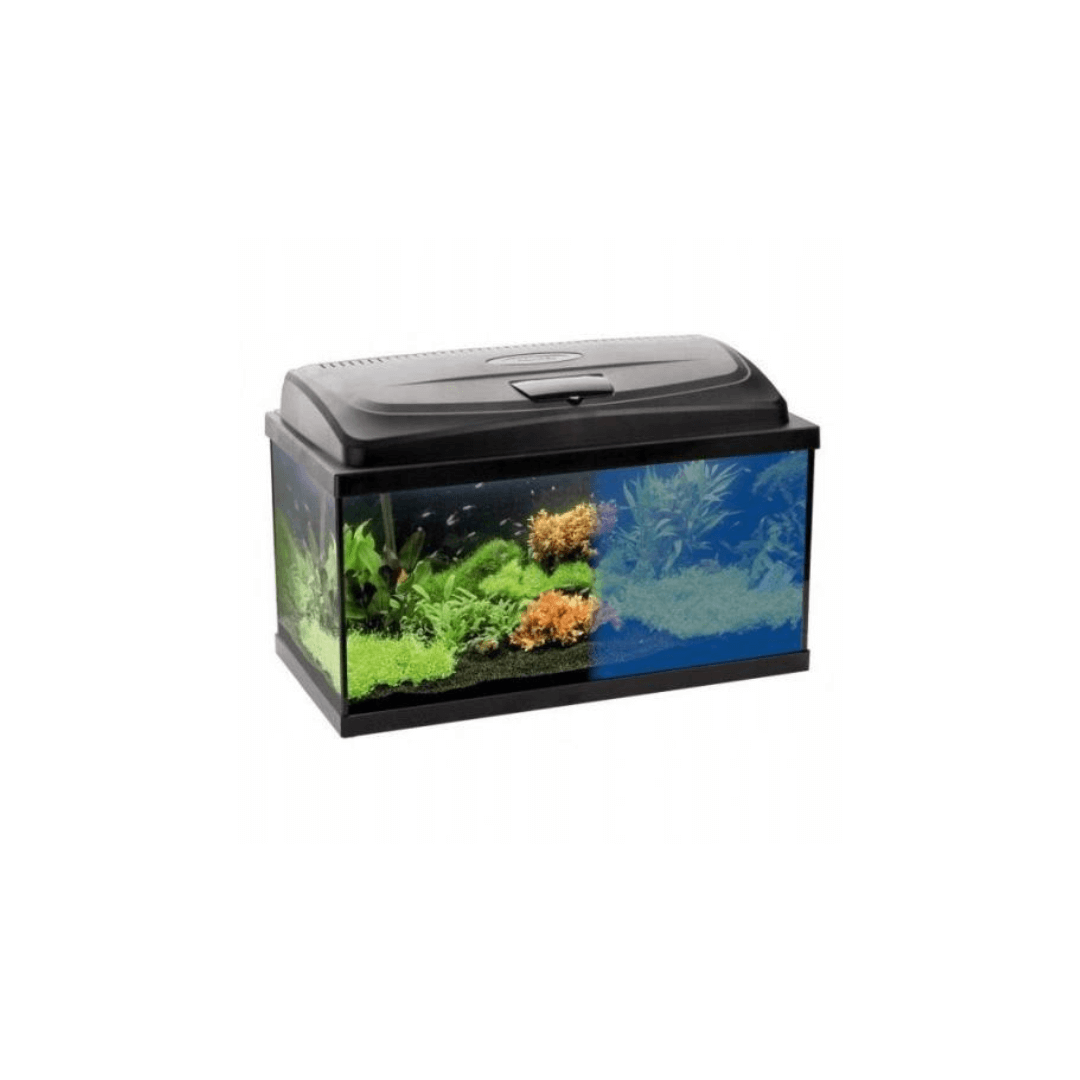 AQUARIUM SET CLASSIC BOX 40/P D&N