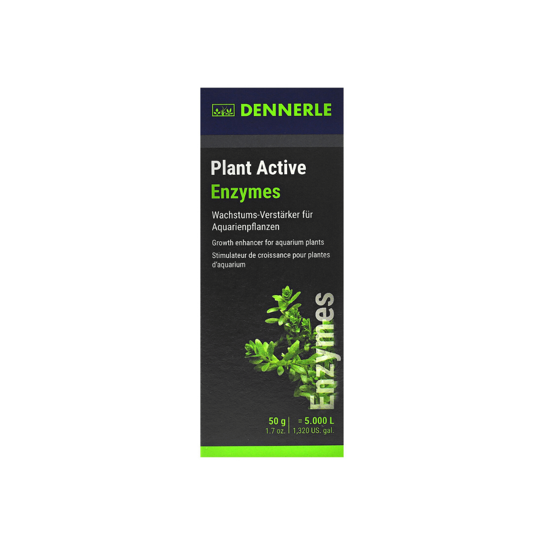 Plant Active Enzymes