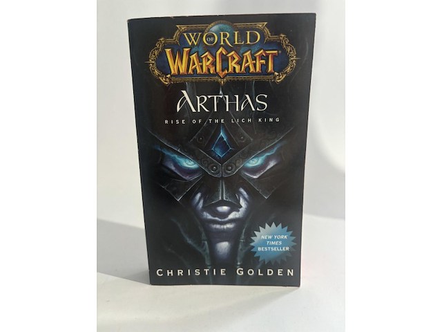 World of Warcraft- Arthas Rise of the Lich King