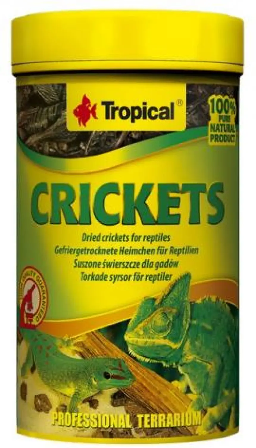 CRICKETS osuseni cvrcci, hrana za reptile 100 ml - 10 g