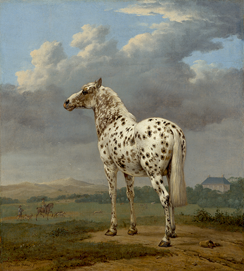 The Piebald Horse (1650–1654)