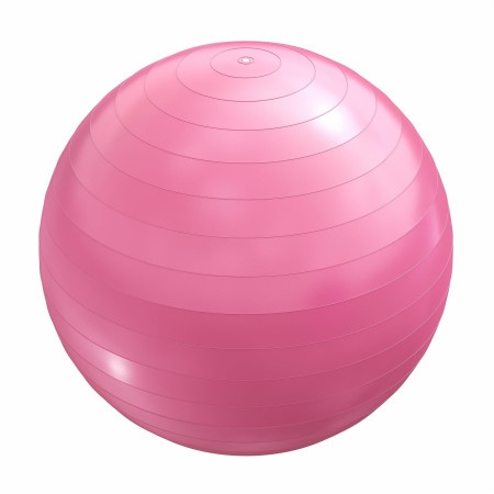 Gorilla Sports Lopta za pilates (55 cm / Roze) ( 100490-00037-0059 )
Ni jedan trening aerobika ili pilatesa ne može proći bez gimnastičke lopte