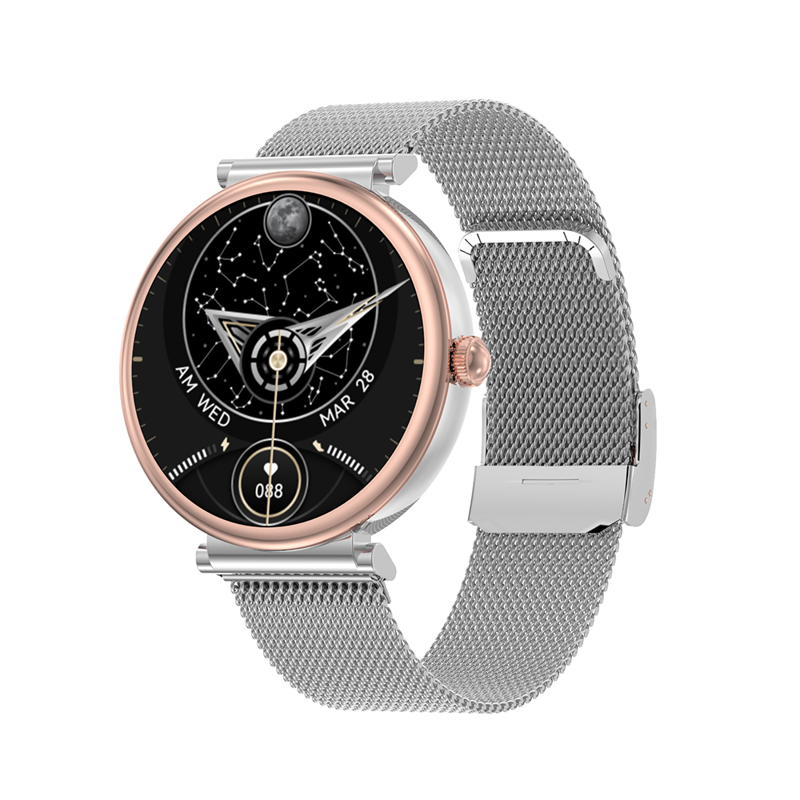 Smart watch DT109 srebrni (silikonska i metalna narukvica)