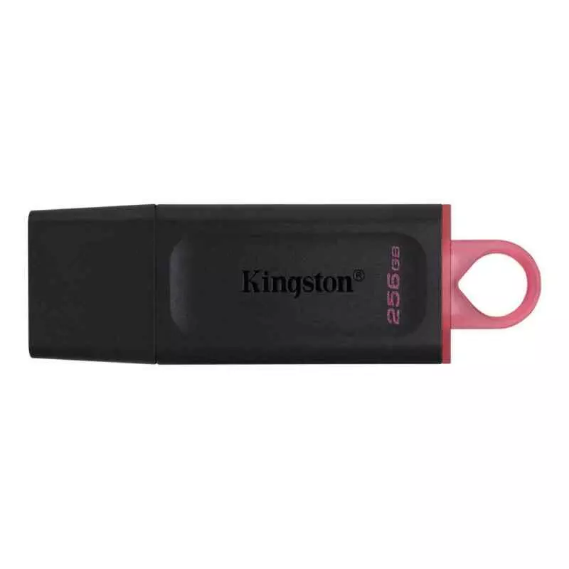 Kingston Data Traveler Exodia Onyx DTXM USB flash memorija 256GB 3.2 crna