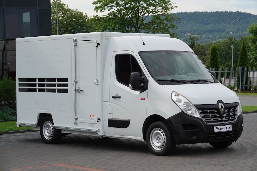 Renault DO ŻYWCA / DO PRZEWOZU ZWIERZĄT / 2016 ROK / SPROWADZONY minibus furgon