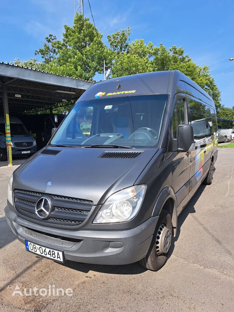 Mercedes-Benz Sprinter 516 putnički minibus