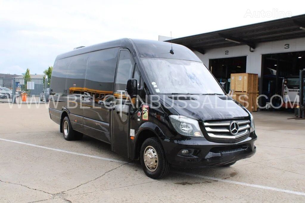 Mercedes-Benz Integralia Tatoo / Sprinter / 519CDI / 3.0L V6 / Airco putnički minibus