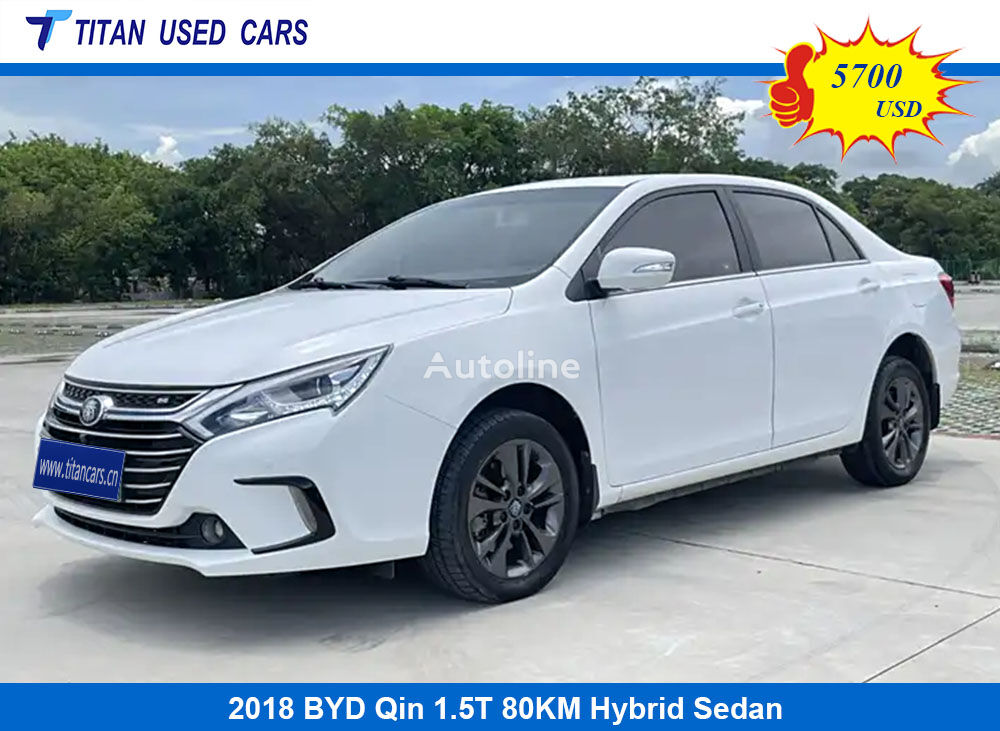 BYD Used 2018 BYD Qin Price in Burkina Faso sedan