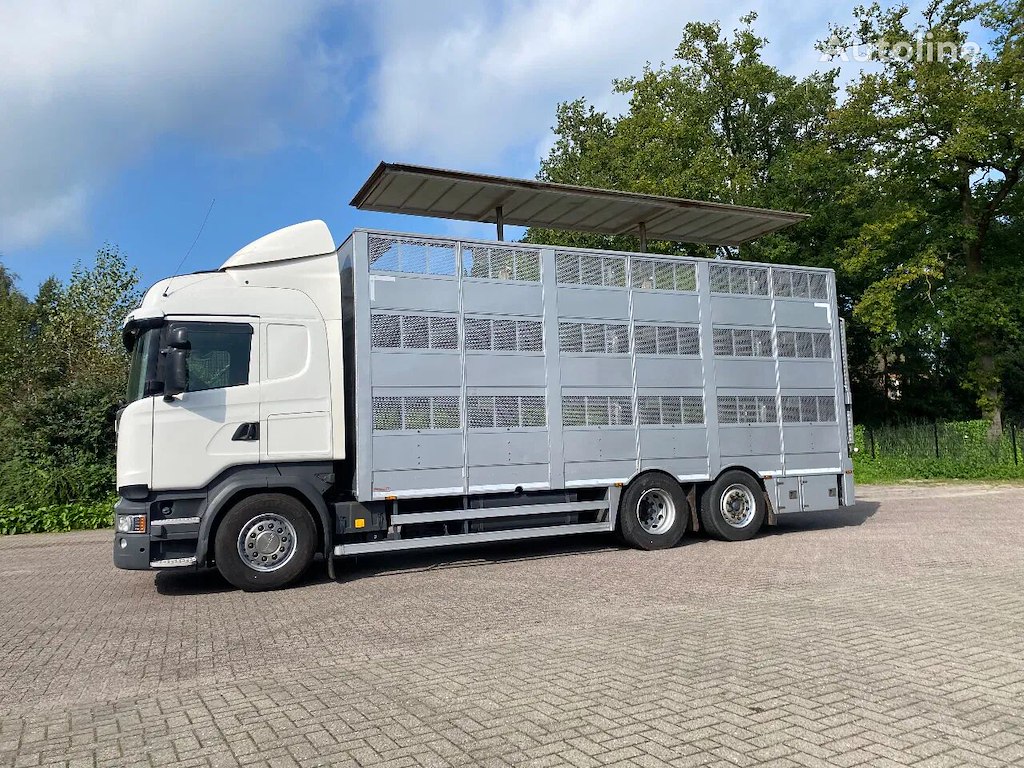 Scania R490 Berdex 1/2/3 livestock veewagen Retarder kamion za prevoz stoke