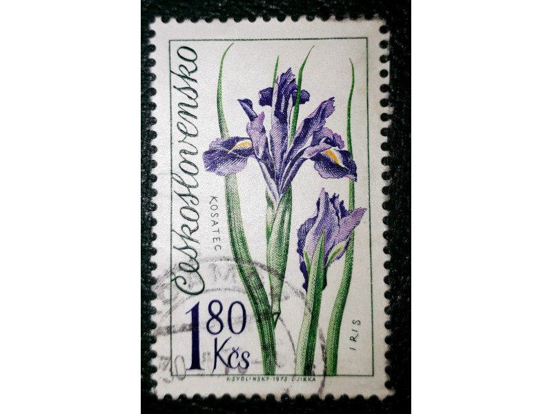 Polska 197* flora