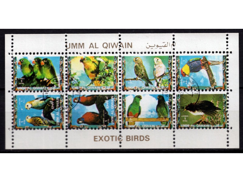 Umm Al Qiwain 1973. Fauna, Ptice