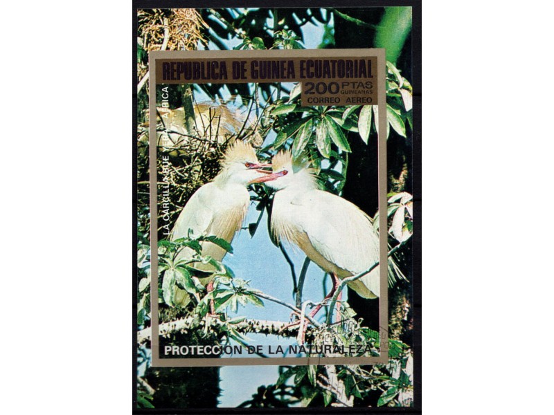 Guinea Equatorial 1973. Fauna, Ptice