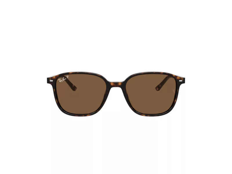 Ray-Ban Leonard Naočare za sunce RB 2193 902/57