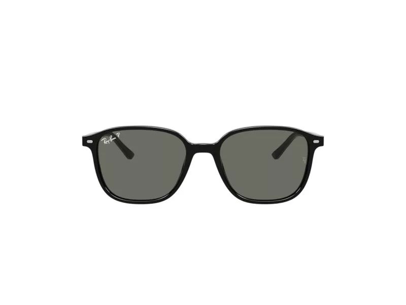 Ray-Ban Leonard Naočare za sunce RB 2193 901/58