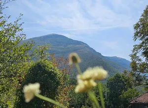 Prodaja Ostale nekretnine - Boljevac