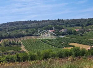 Prodaja Građevinsko zemljište - Grocka, Begaljica