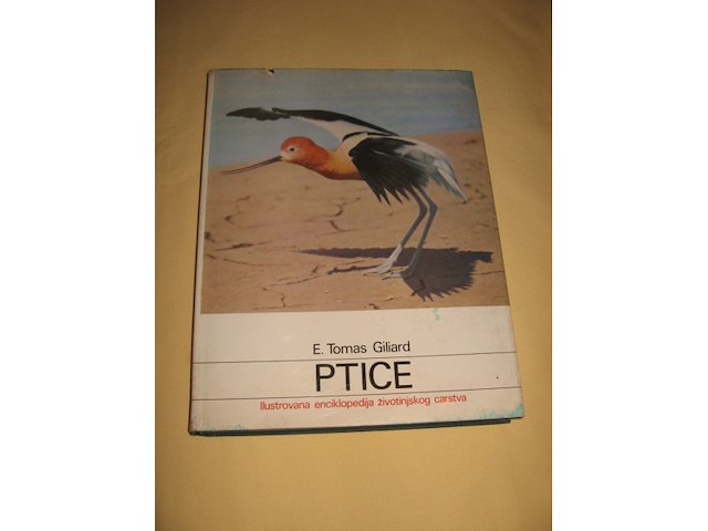 Ptice - Giliard