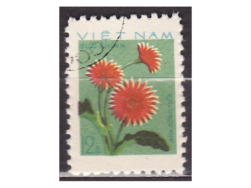 Viet Nam - cveće