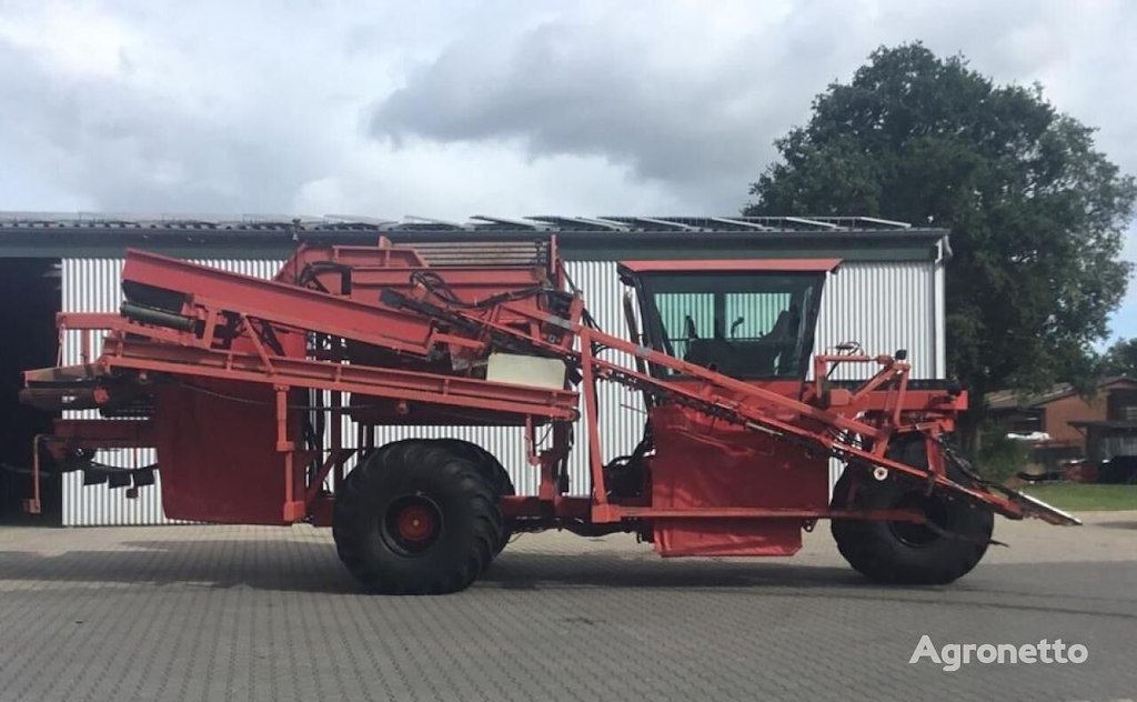 Horsch Möhrenroder TT 250 VS kombajn za beli luk