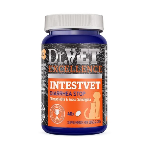 Dr.VET Intestvet – 40 tableta