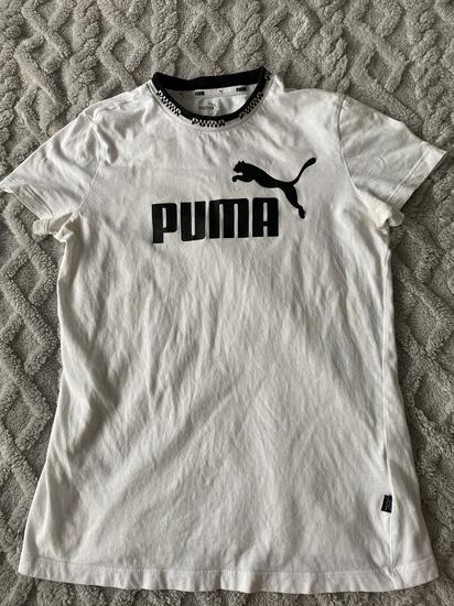Puma pamucna majica