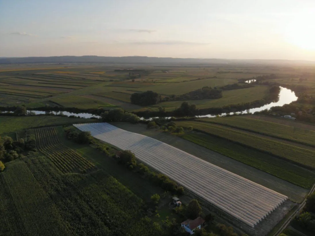 Prodaja, zemljište, 35000m2, Banatski Brestovac, Pančevo