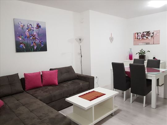 Novi Sad, Apartmani Centar i Detelinara