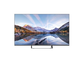 TV PROFILO SMART LED 55" 55PA535ESG UHD 3840x2160/ANDROID 11/DVB-T2/C/S2/Grey