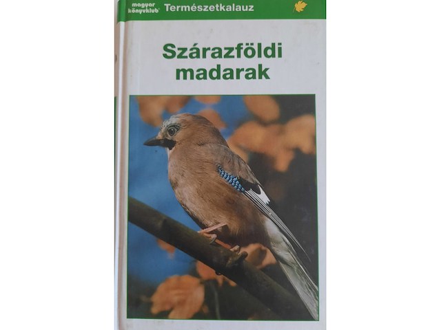 Szárazföldi madarak