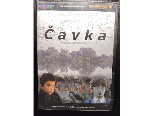 Čavka