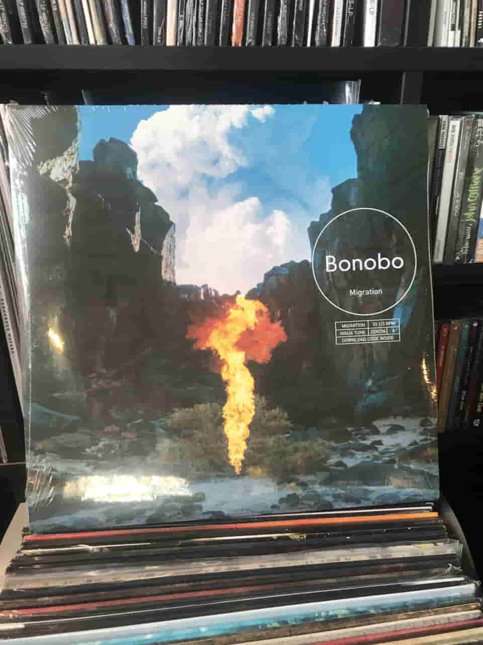 Bonobo – Migration