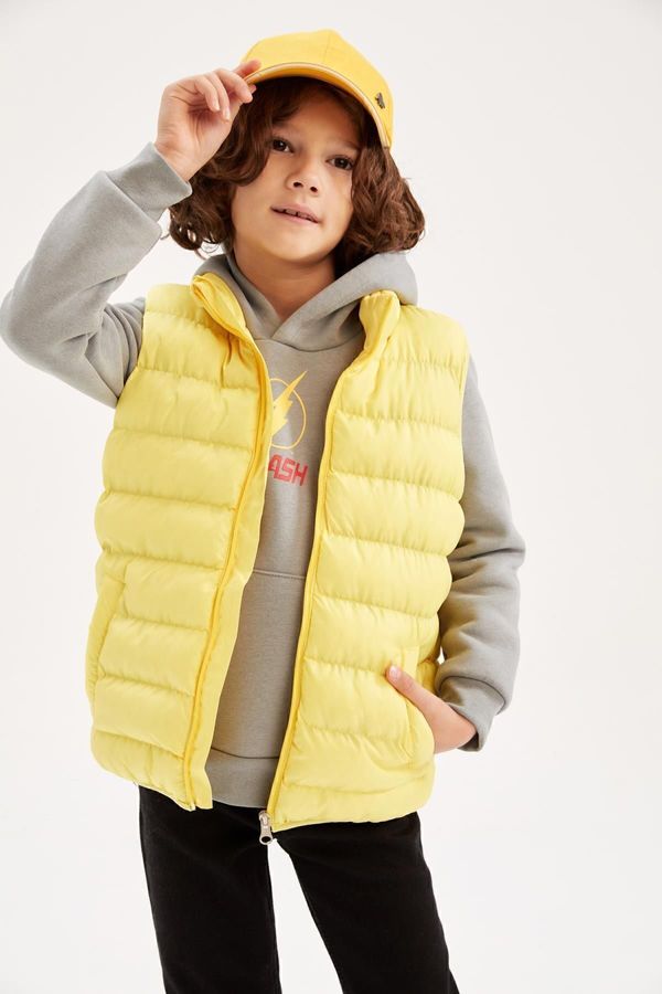 DEFACTO Boy's Water Repellent Stand-up Collar Puffer Vest