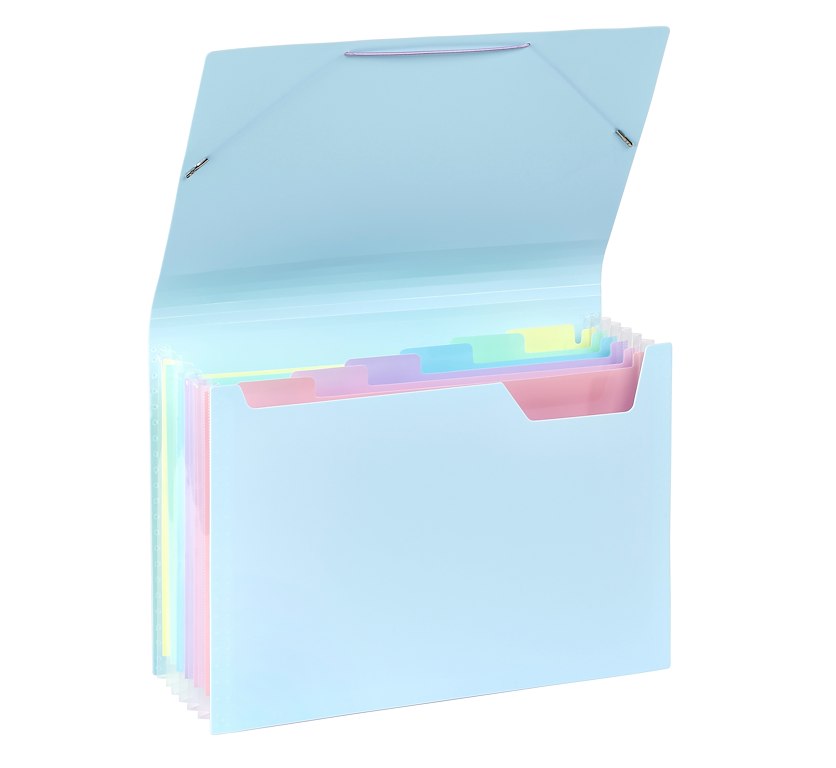 EXPANDING ORGANIZER VIQUEL SA 6 PREGRADA RAINBOW PASTEL