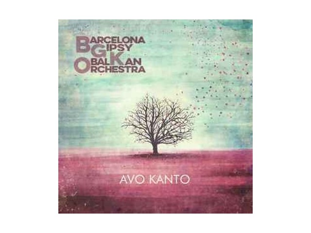 Barcelona Gipsy balKan Orchestra - Avo Kanto