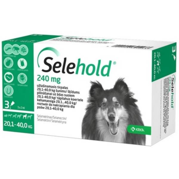 Selehold dog 20-40kg, 240mg 1 ampula