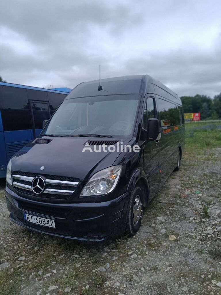 Mercedes-Benz Sprinter 519 putnički minibus