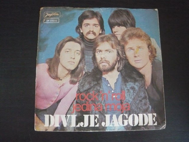 Divlje Jagode - Rock n Roll