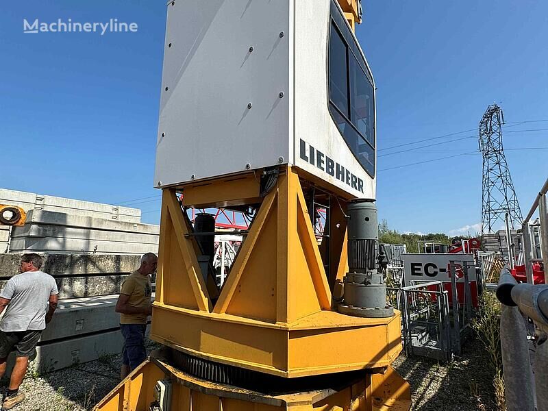 Liebherr 200 EC-H 10 Litr toranjska dizalica