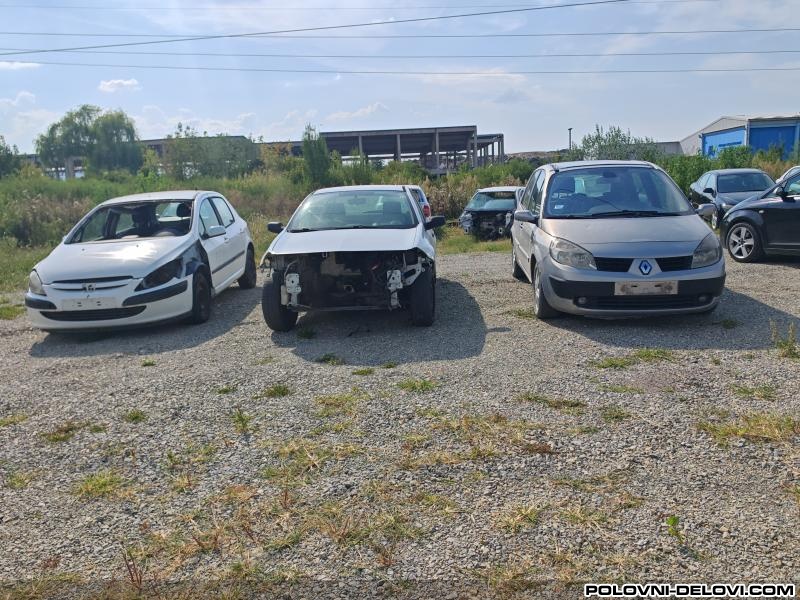 Renault Scenic 1.5 1.9 Dci Kompletan Auto U Delovima
