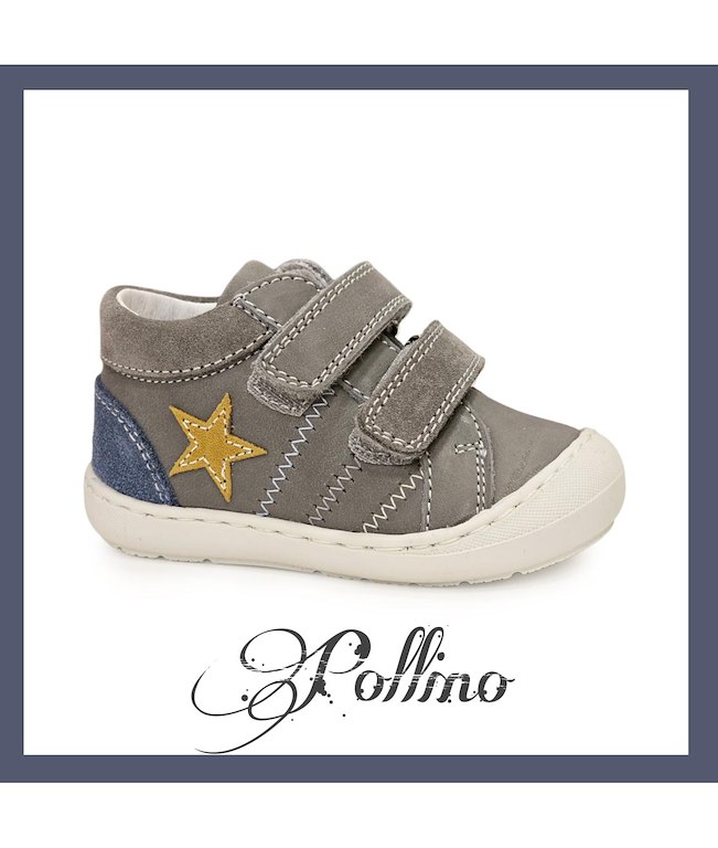 POLLINO CIPELE - STAR / GREY