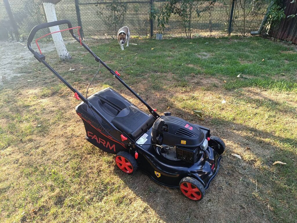 Farm, Benzinska, Pokupiti na licu mesta, O trošku kupca