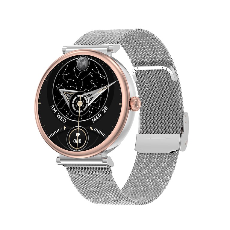 Smart watch DT109 srebrni (silikonska i metalna narukvica) (MS)