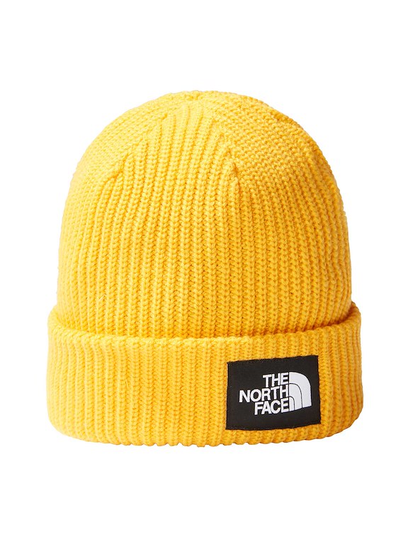 THE NORTH FACE SALTY DOG LINED BEANIE
4163 RSD